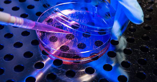 News & Press Releases - HSSA